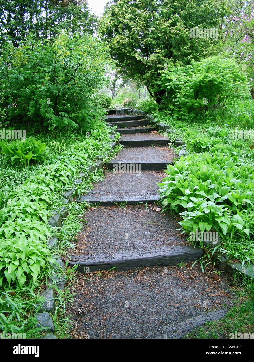 Winding Garden Path Clipart Stone Walkway Winding In Garden Stock