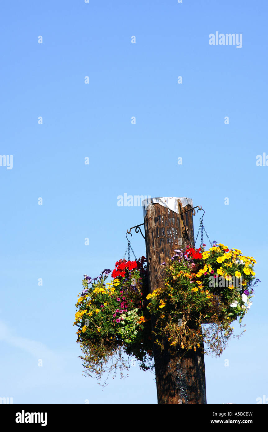 Top of coastal pole with flowers hanging Stock Photo - Alamy