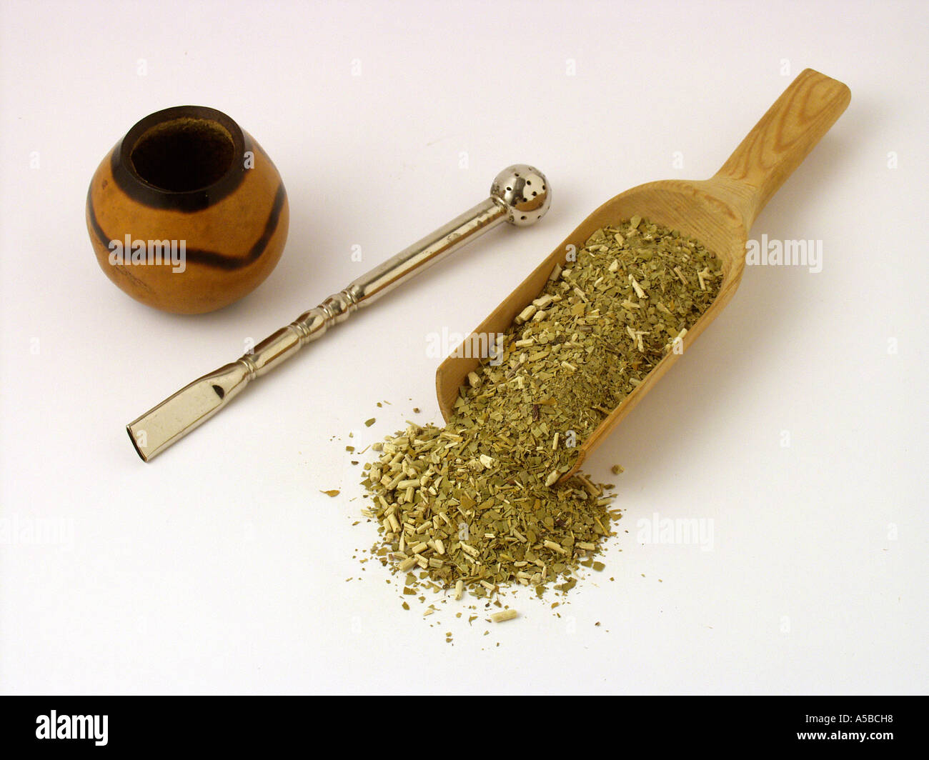 Paraguay Tea Ilex Paraguariensis High Resolution Stock Photography and ...