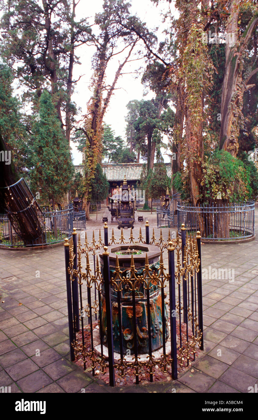Remaining cypress trees at the courtyard of Fuxi Temple or Taihao ...