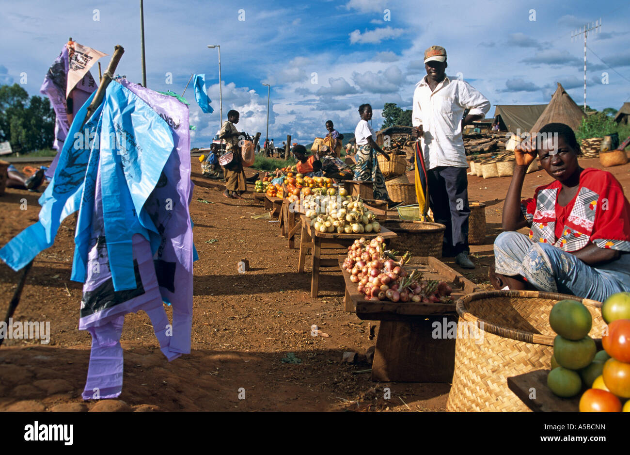 Vendors selling fruits and vegetables in market, Malawi, Africa Stock ...