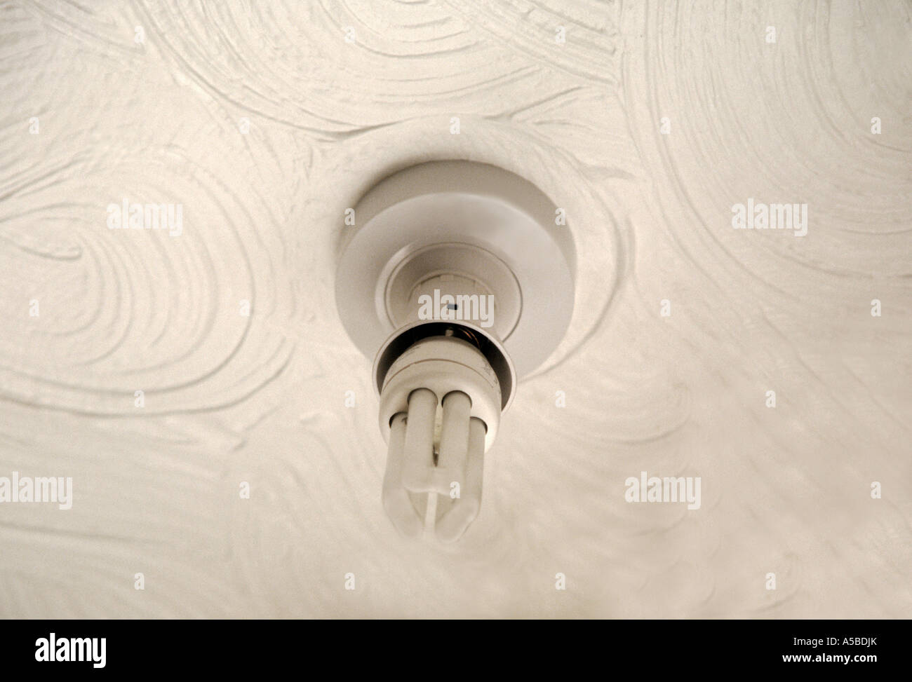 energy efficient long life light bulb Stock Photo - Alamy