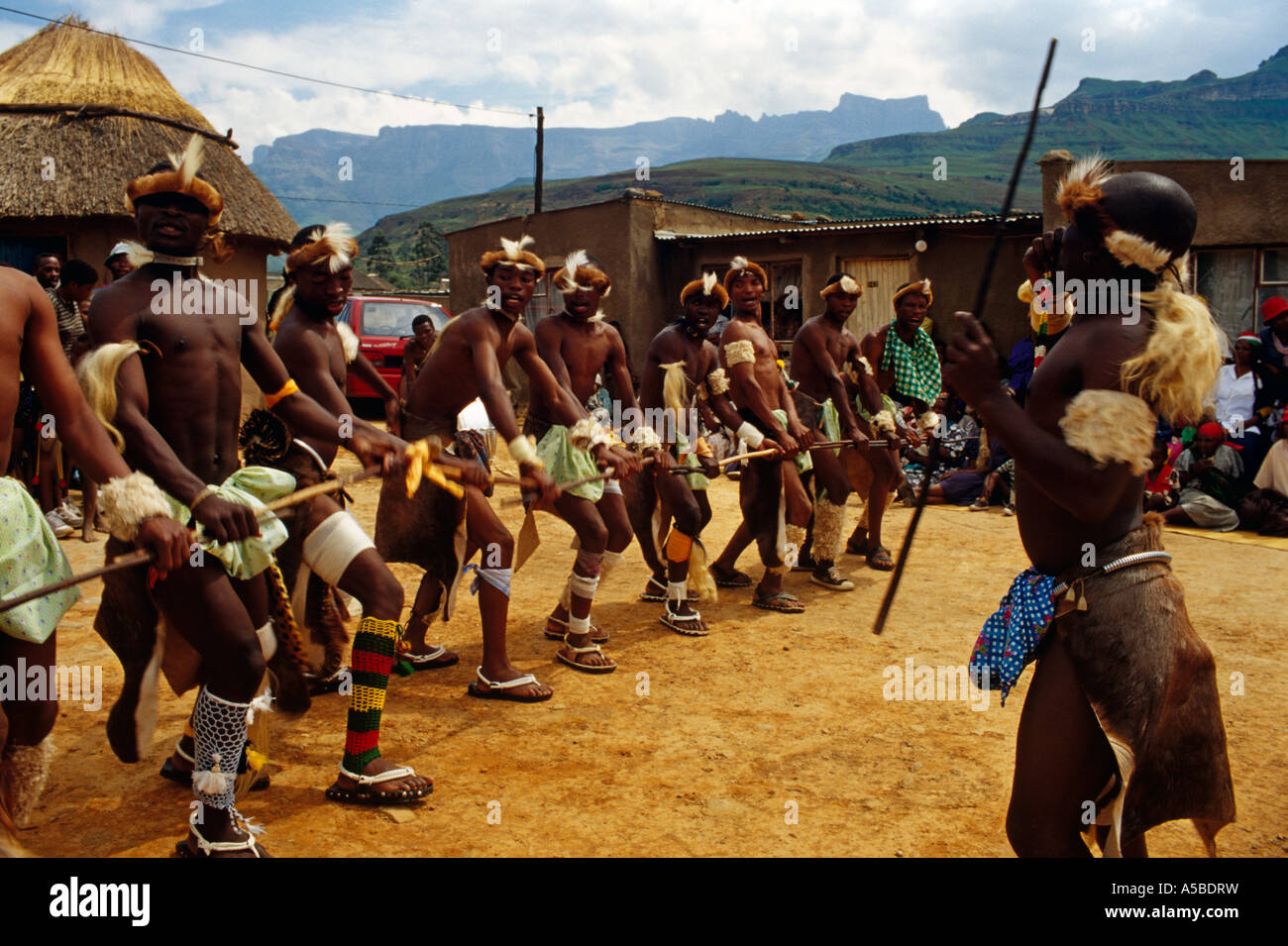 Local villagers performing the traditional Zulu dance in South Africa ...