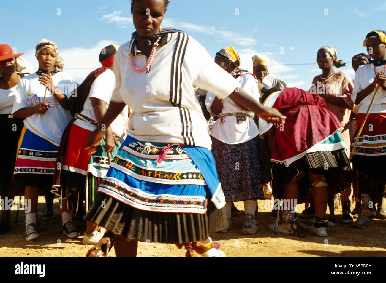 Local villagers performing the traditional Zulu dance in South Africa ...