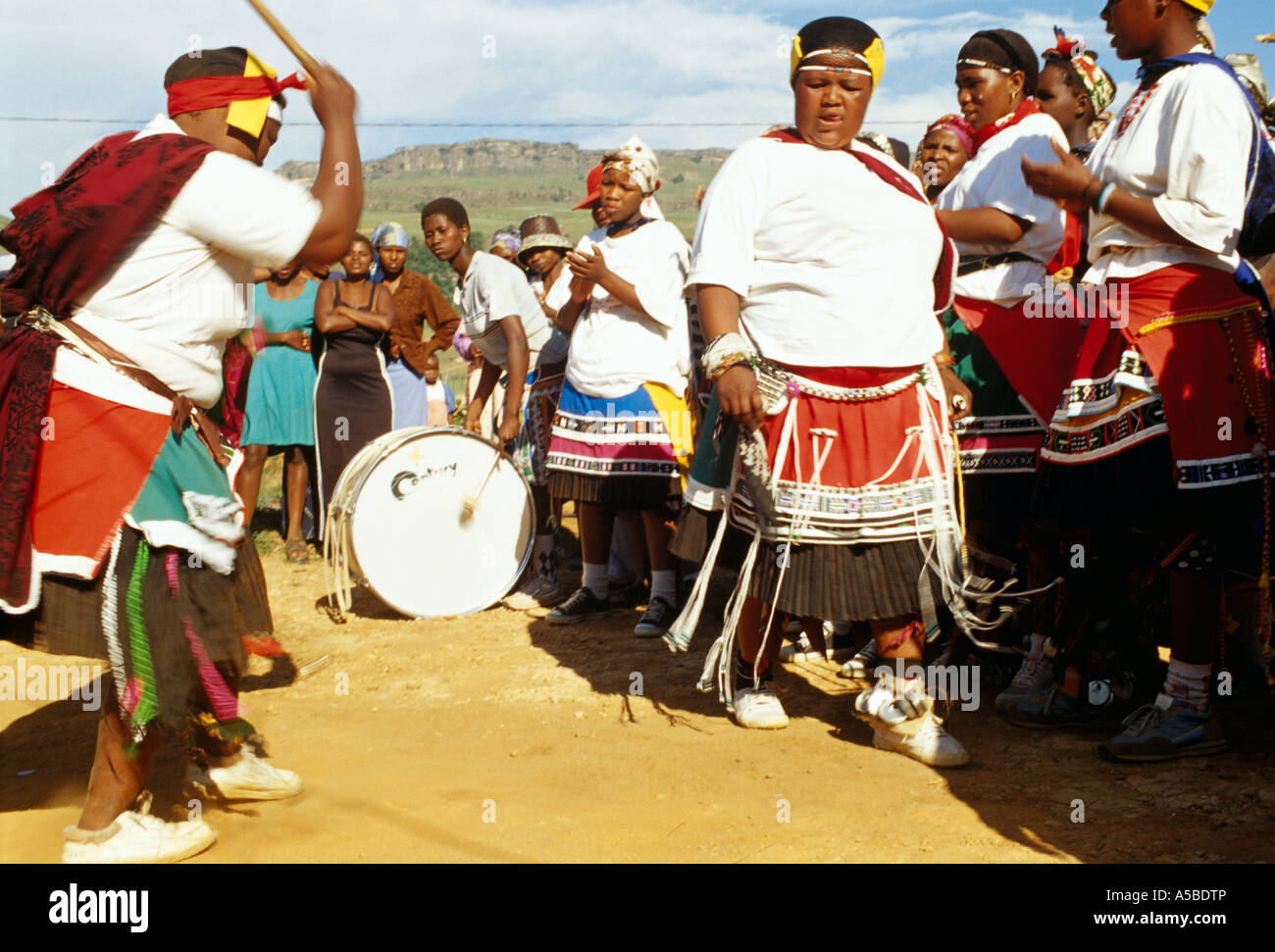 Local villagers performing the traditional Zulu dance in South Africa ...