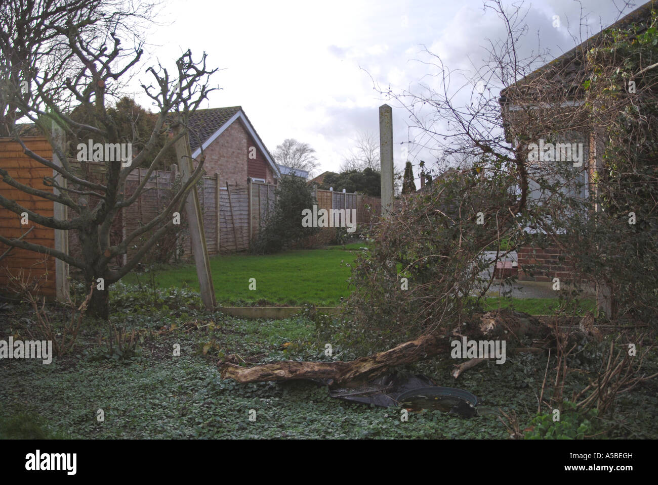 storm force wind damage with missing fence panels broken posts and ...