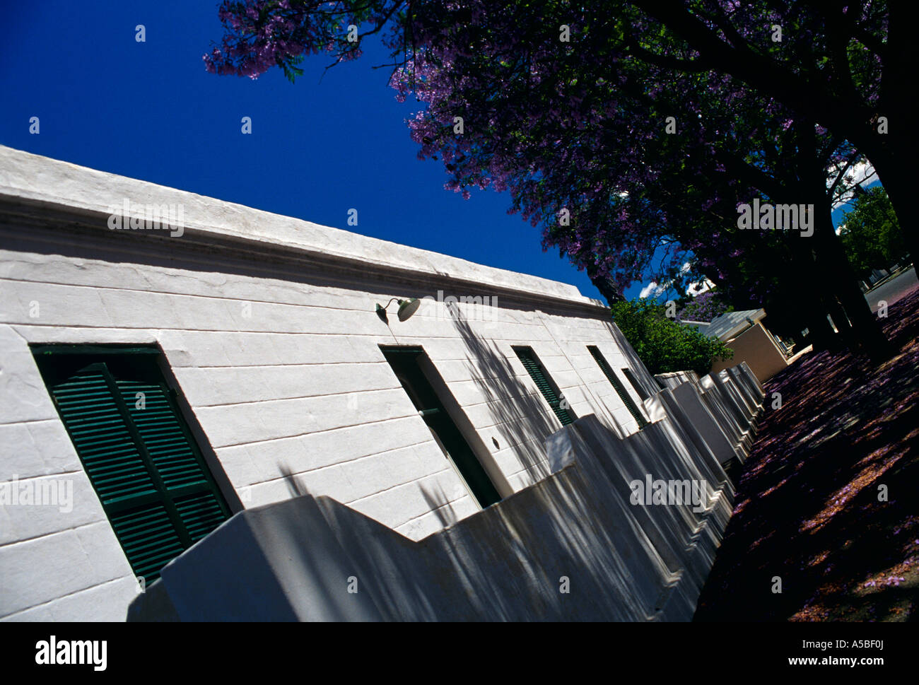 A row of trees next to a white building Stock Photo - Alamy
