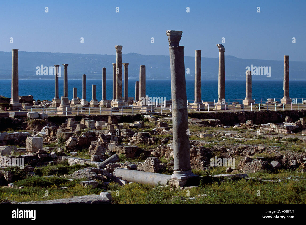 Roman ruins, Beirut, Lebanon Stock Photo - Alamy