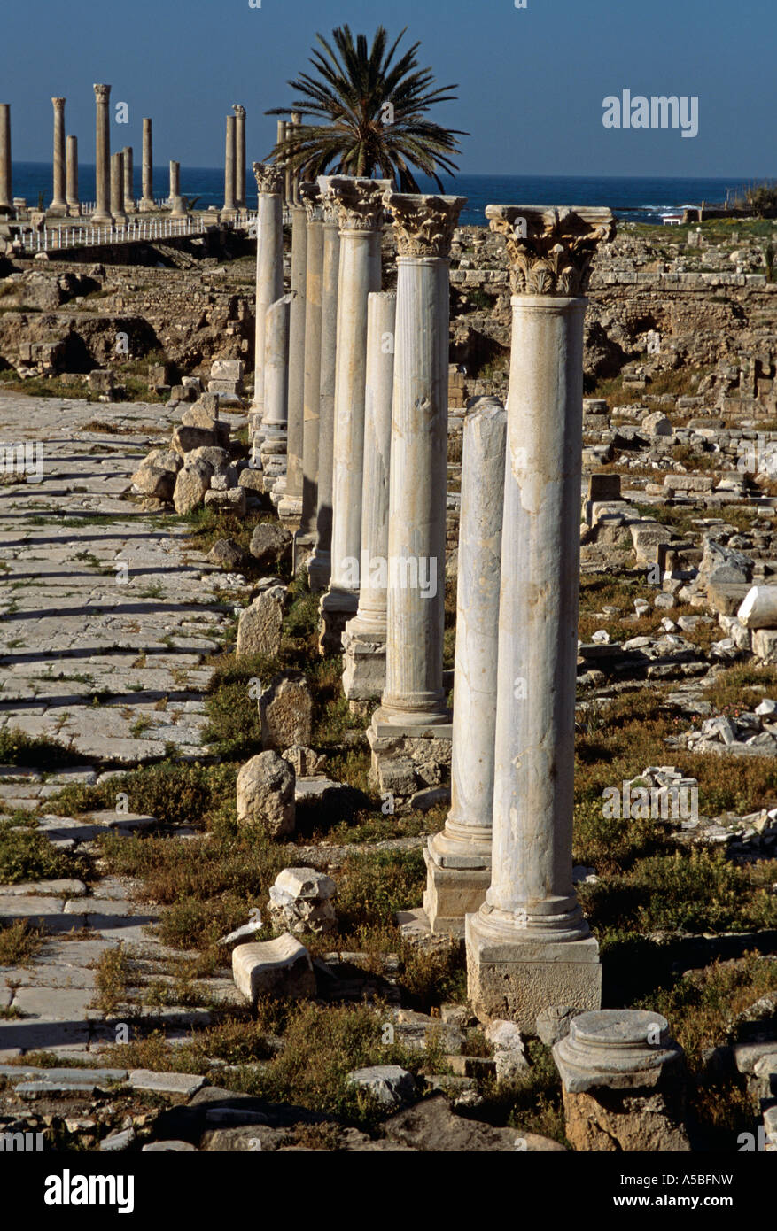 Roman ruins, Beirut, Lebanon Stock Photo - Alamy