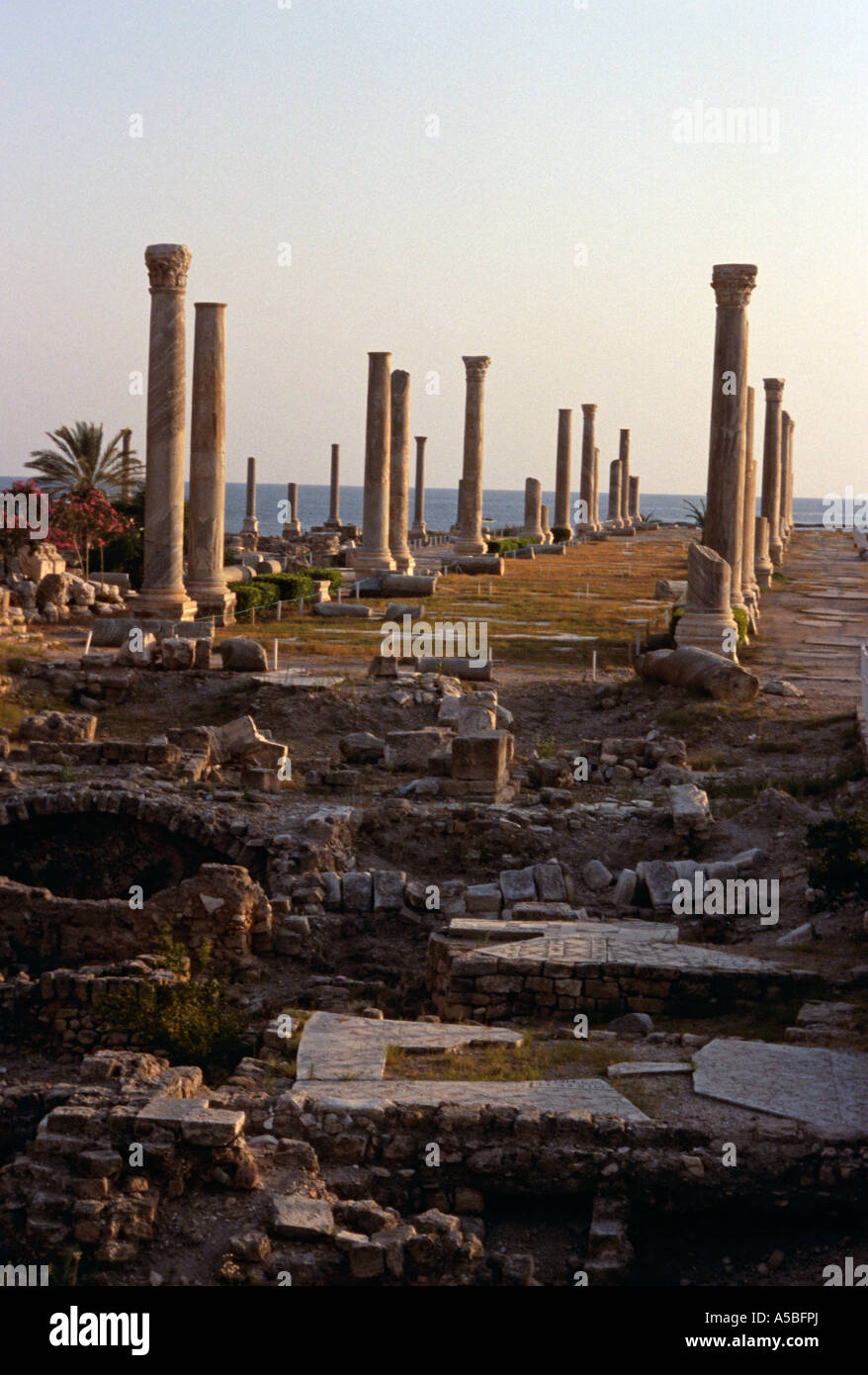 Tyr lebanon hi-res stock photography and images - Alamy