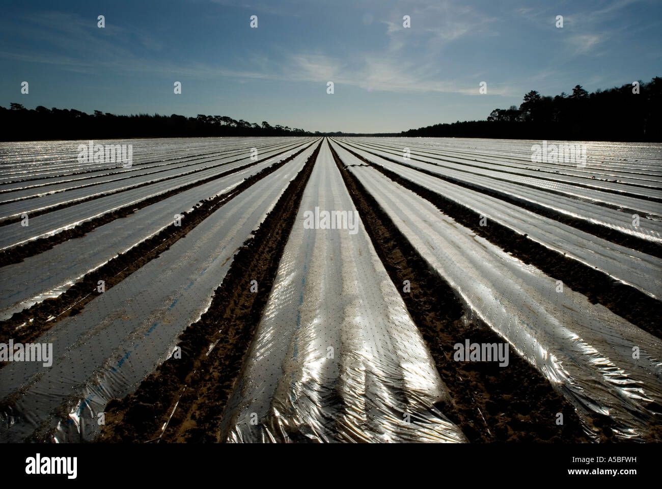 Plastic sheeting hi-res stock photography and images - Alamy