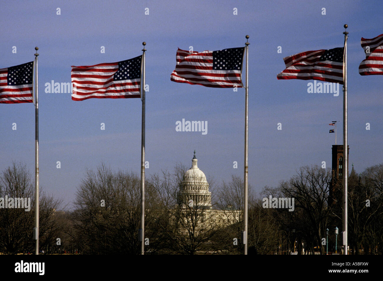 USA WASHINGTON DC THE CAPITOL BUILDING AND STARS AND STRIPES Stock ...