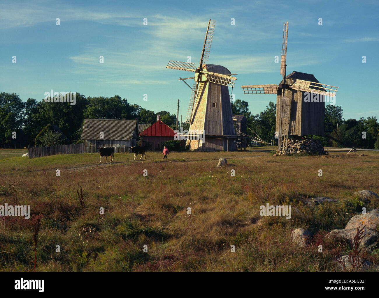 Estonia Saaremaa two traditional wooden windmill at Angla Stock Photo ...