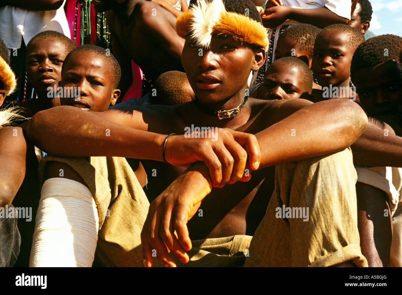 Indlamu dance hi-res stock photography and images - Alamy