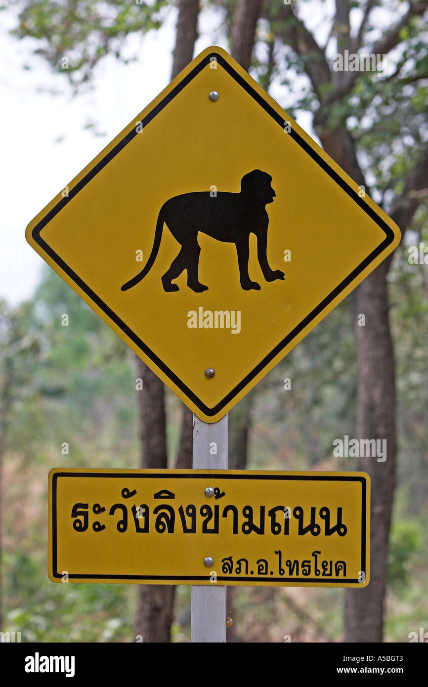Monkey crossing sign hi-res stock photography and images - Alamy