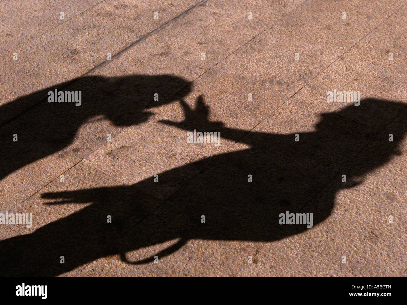 Shadows of two people talking Beirut Stock Photo - Alamy