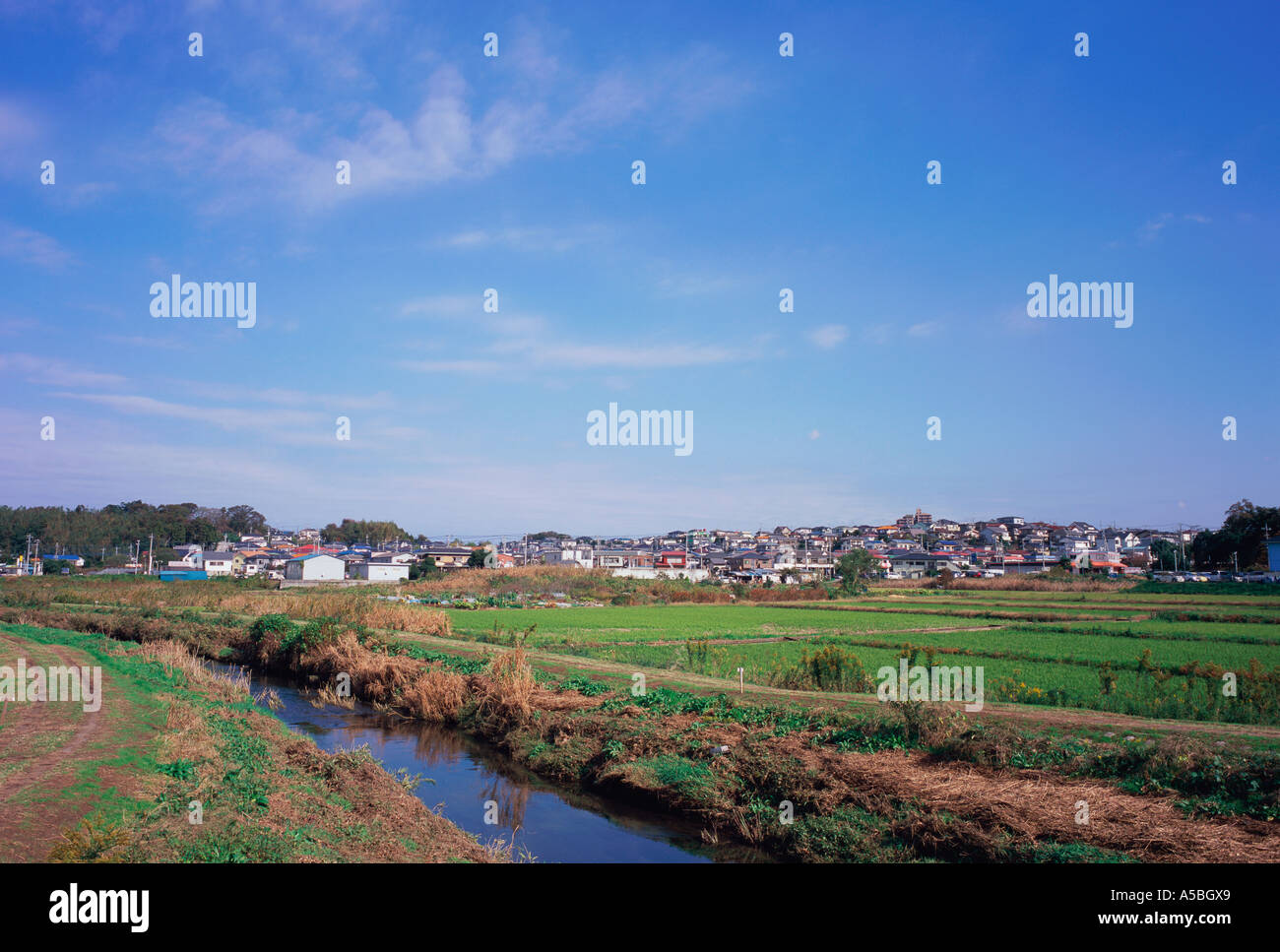 Rice paddy in Chiba Japan Stock Photo - Alamy
