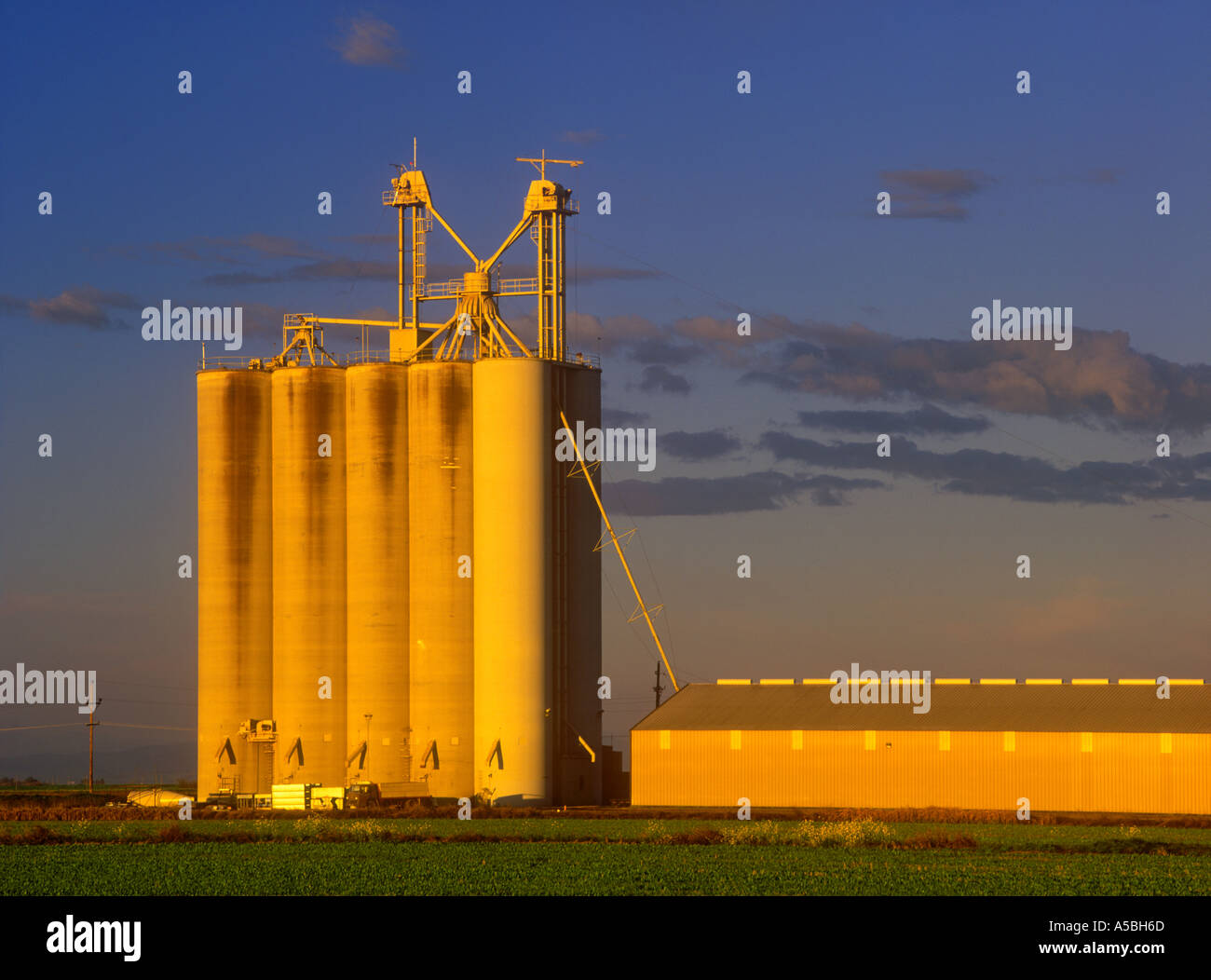 A grain silo at sunset in the Sacramento Valley of northern California ...