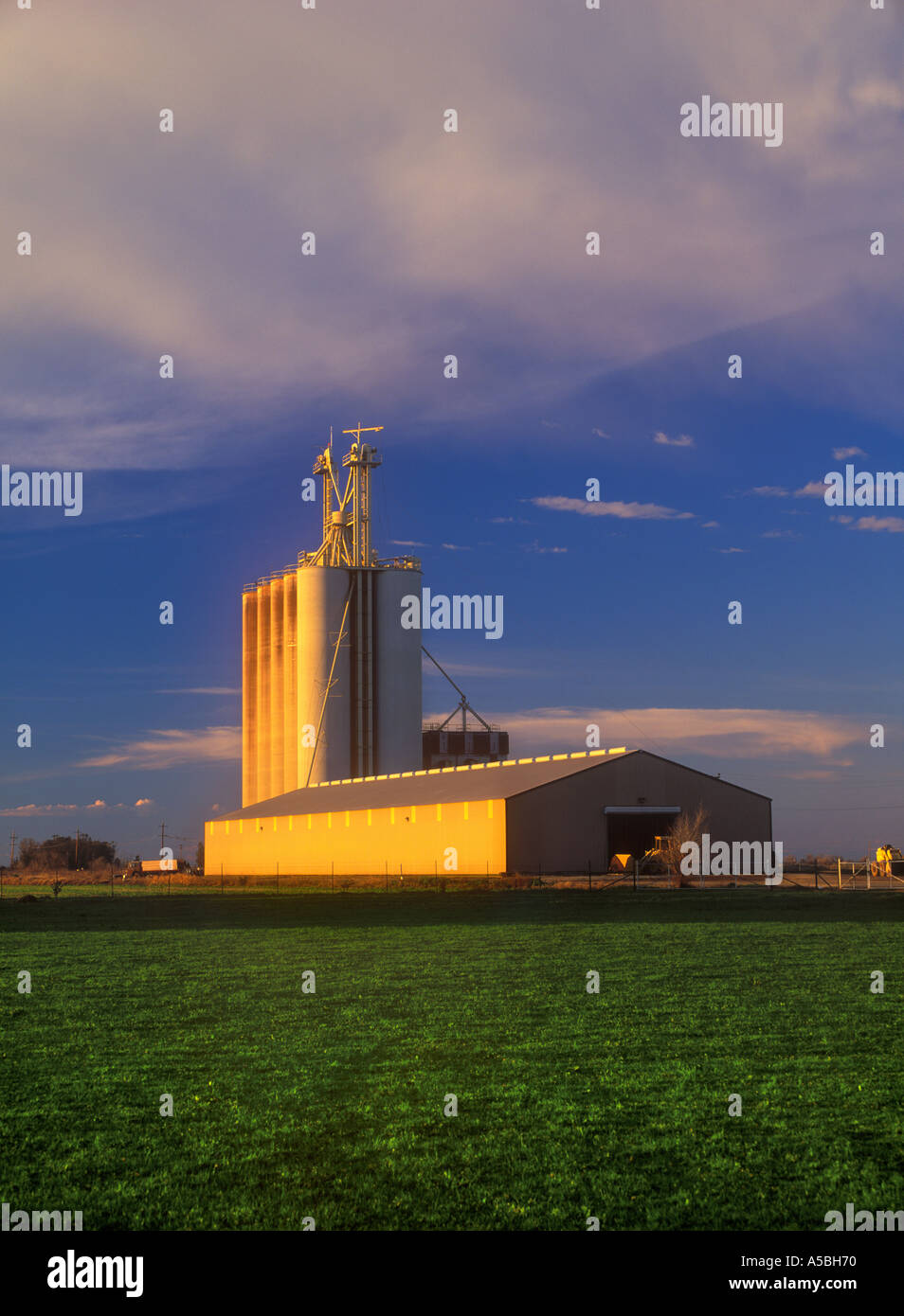 A grain silo at sunset in the Sacramento Valley of Northern California ...