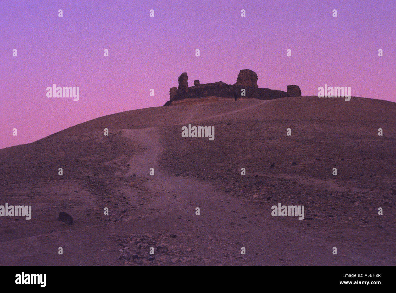 Hamad desert hi-res stock photography and images - Alamy