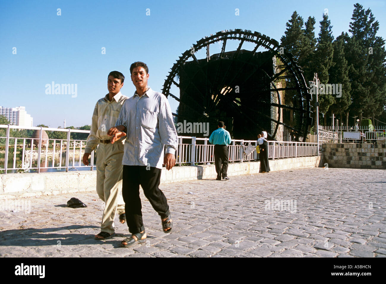 The water wheel noria of Hama Syria Stock Photo - Alamy