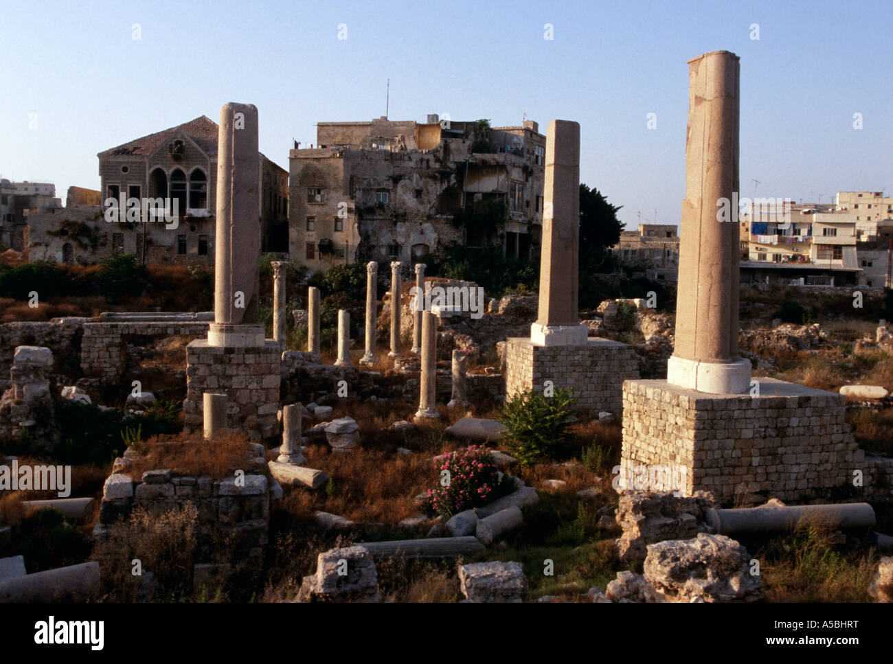 Roman ruins, Baalbek, Lebanon Stock Photo - Alamy