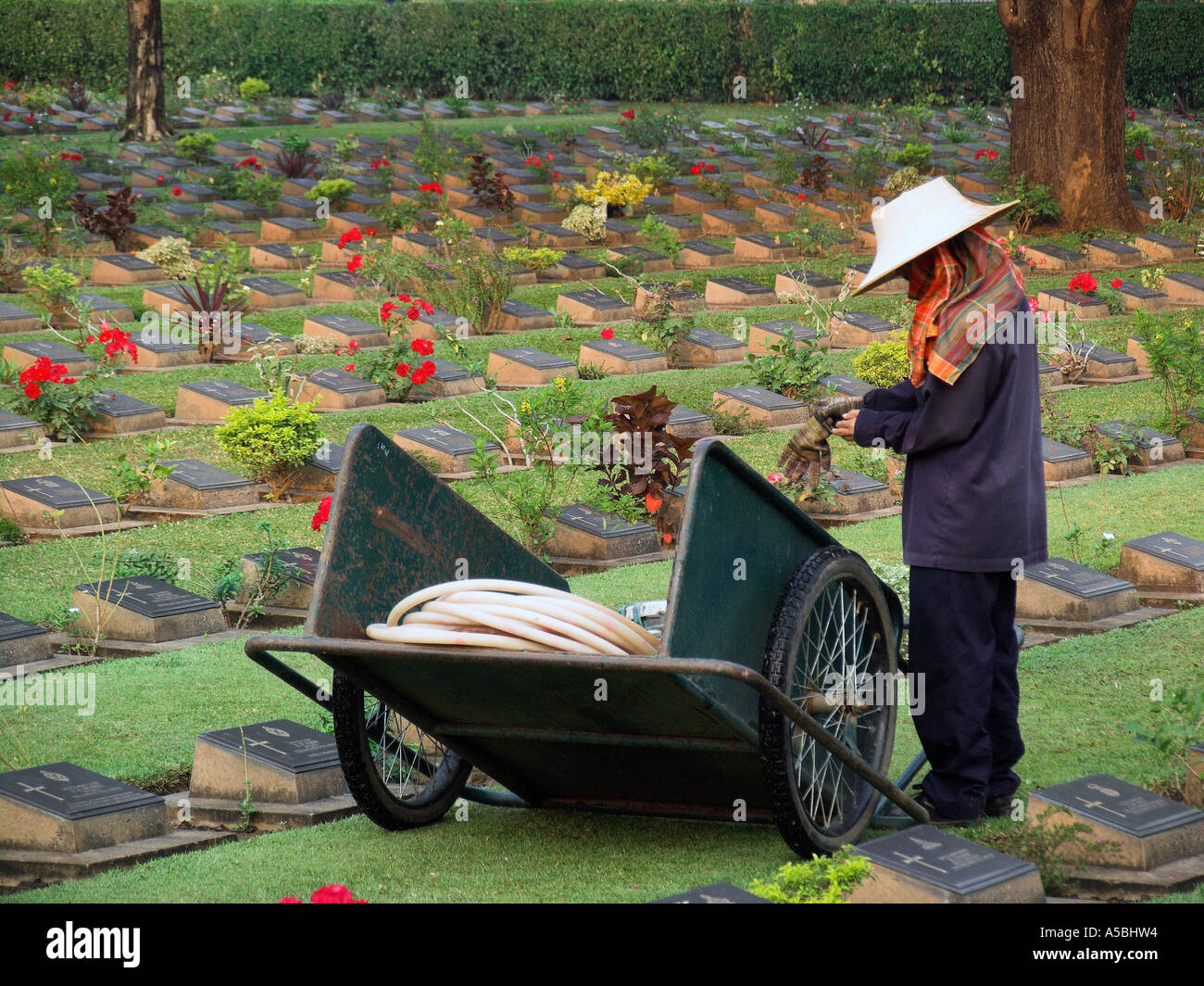Death cart hi-res stock photography and images - Alamy