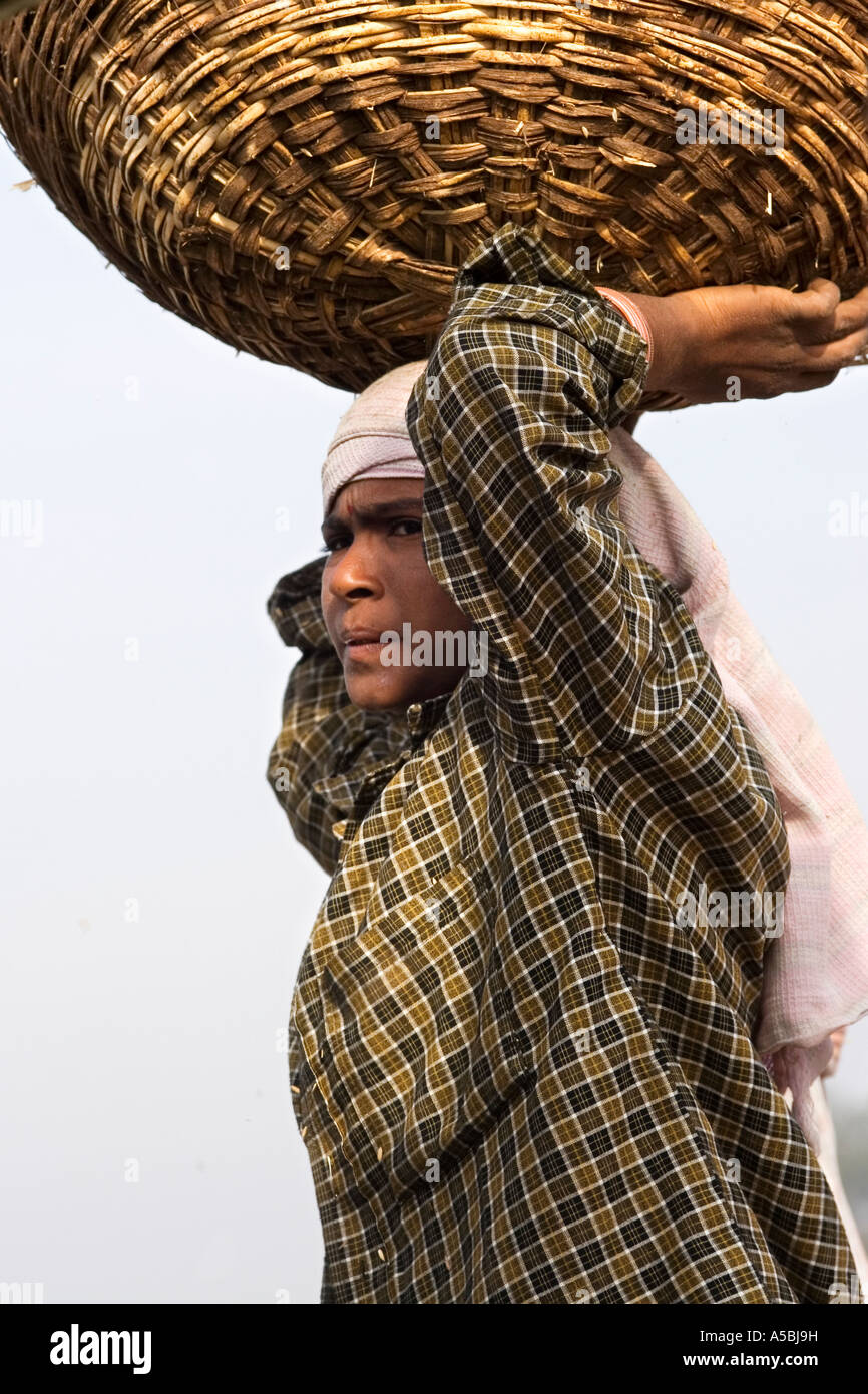 Indian woman farm laborer lifting and carrying a basket of harvested ...
