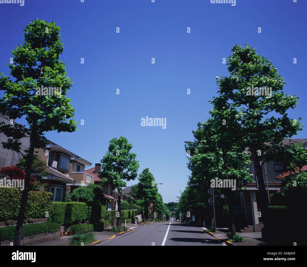 Residential district in Japan Stock Photo - Alamy