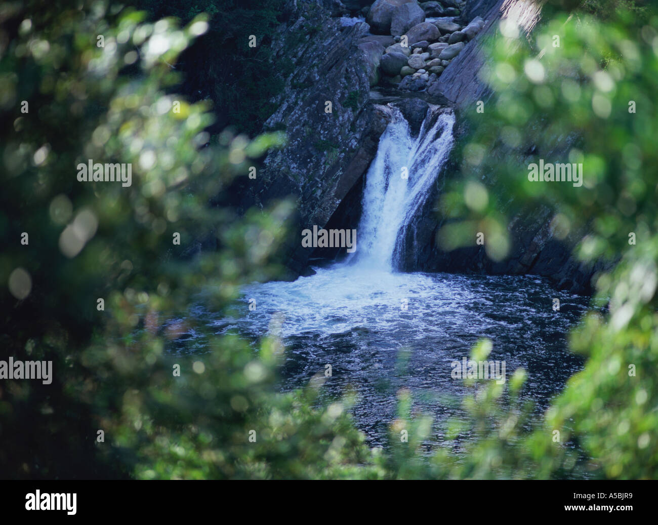 Toroki hi-res stock photography and images - Alamy