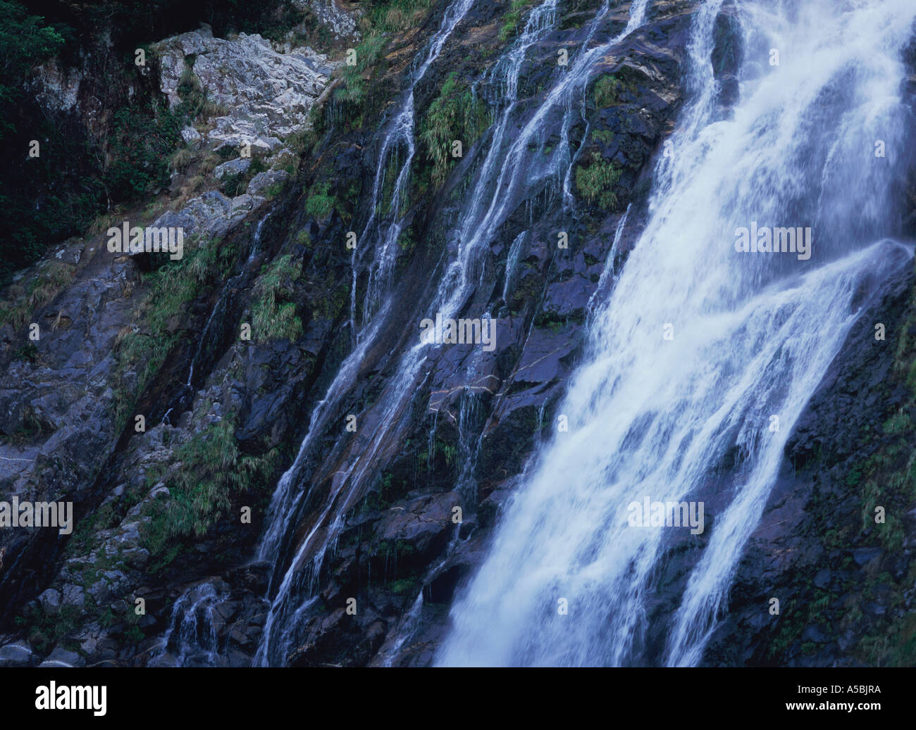 Okawa Waterfalls Yakushima Japan Stock Photo - Alamy