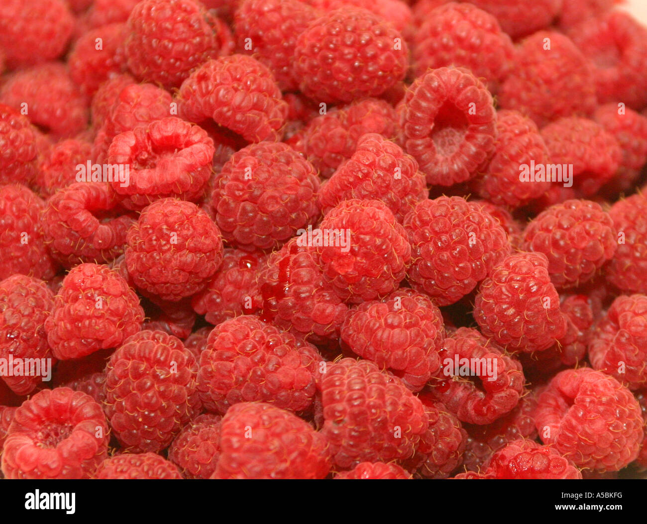 English rasberries hi-res stock photography and images - Alamy