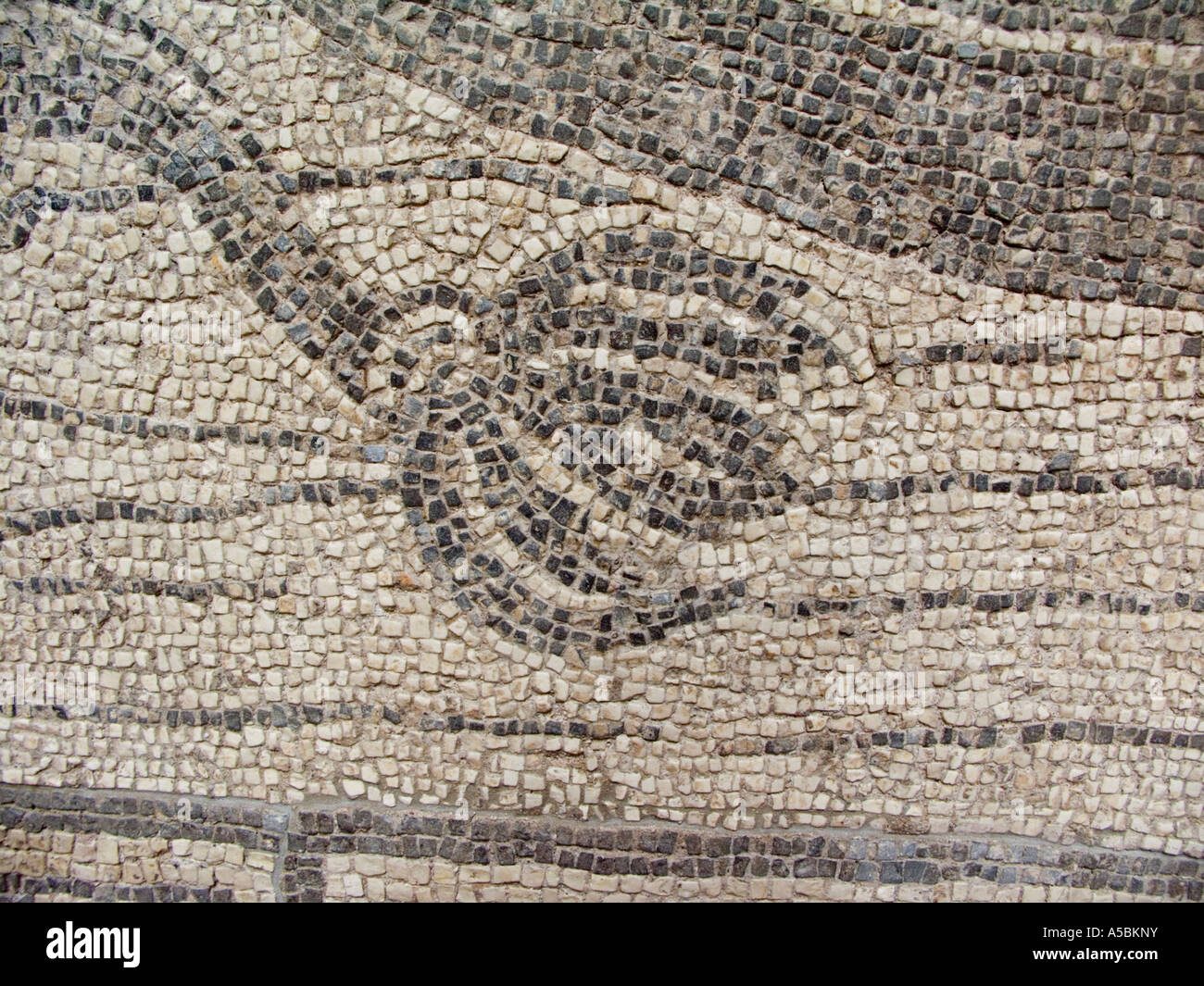 roman ancient mosaic Stock Photo - Alamy