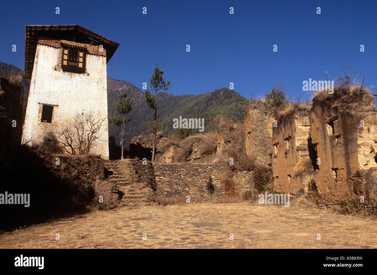Buddhist monastery, Bhutan Stock Photo - Alamy