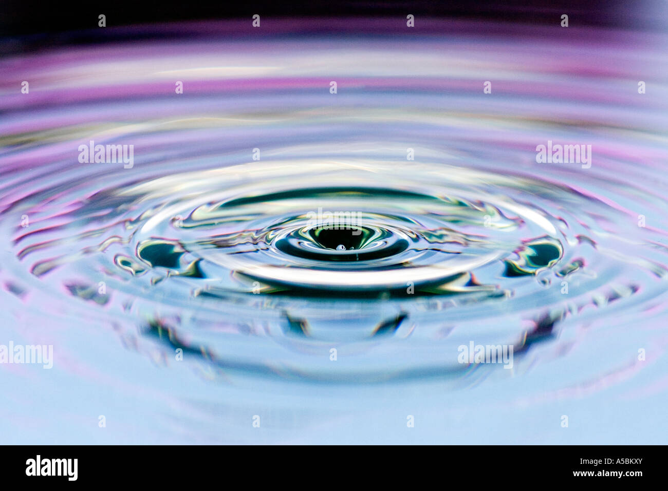Water drop abstract against black and pink background. Water on a plate ...