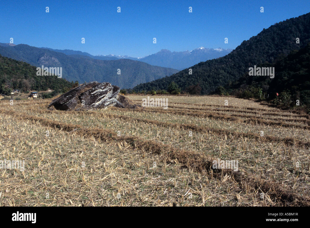 A panoramic view of Bhutan Stock Photo - Alamy