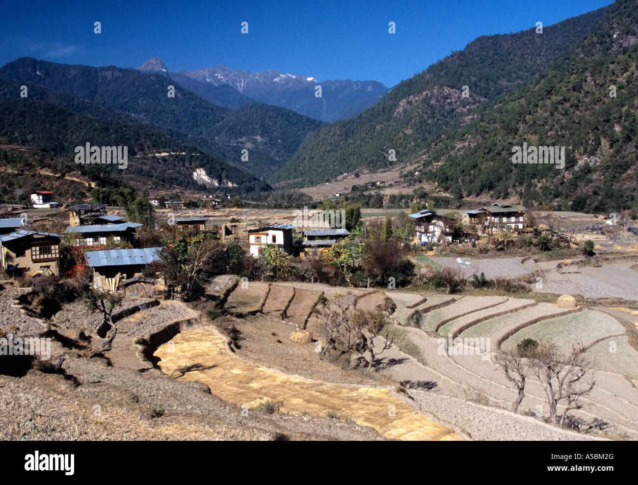 A panoramic view of the countryside of Bhutan Stock Photo - Alamy