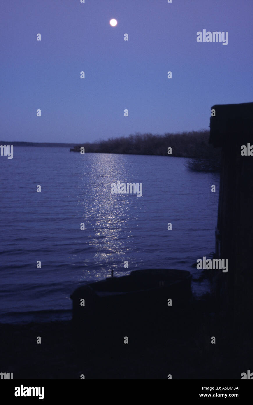 full moon rises over the lake Stock Photo - Alamy
