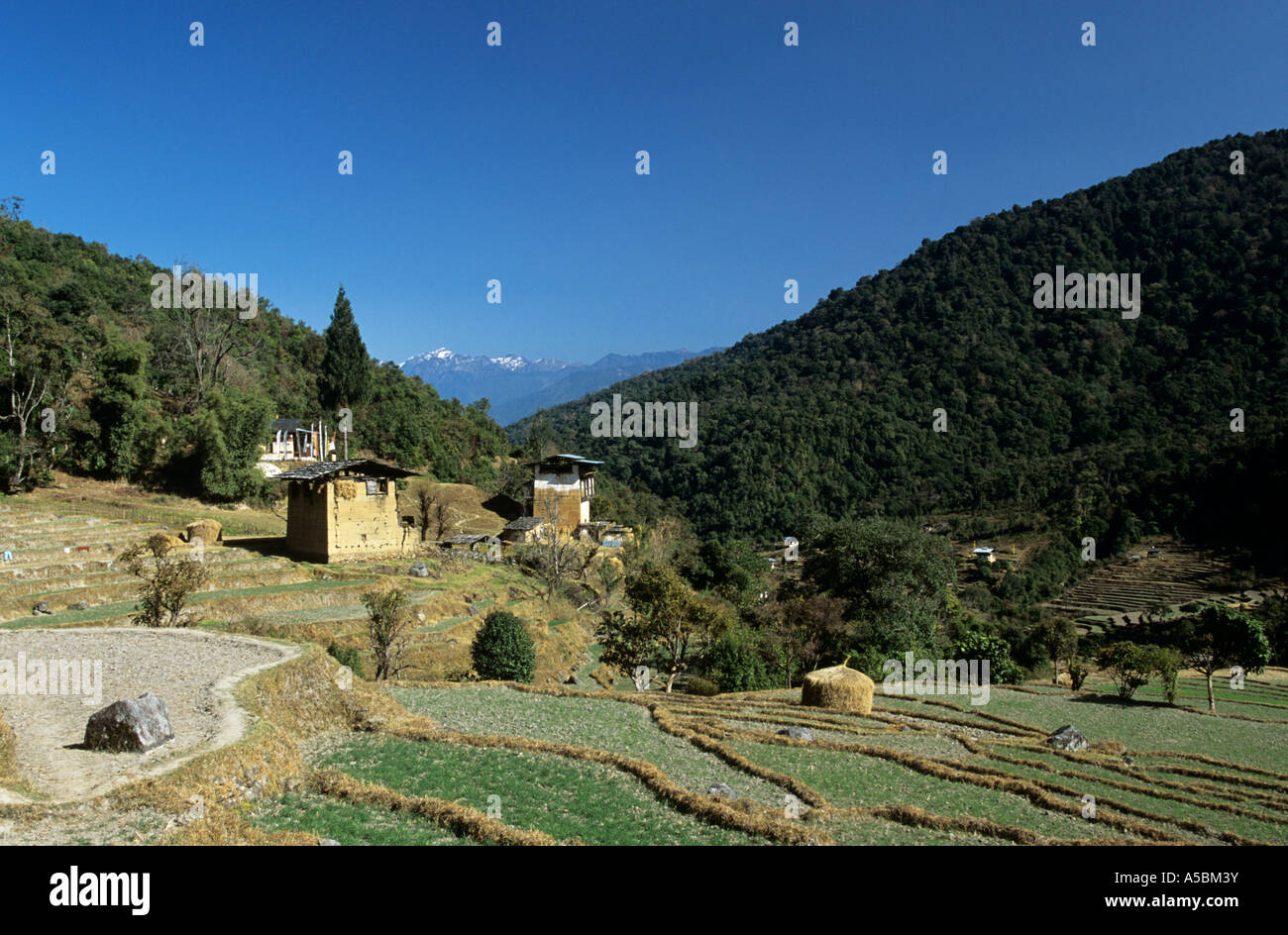Farmland tourism no one has agricultural mountains hi-res stock ...
