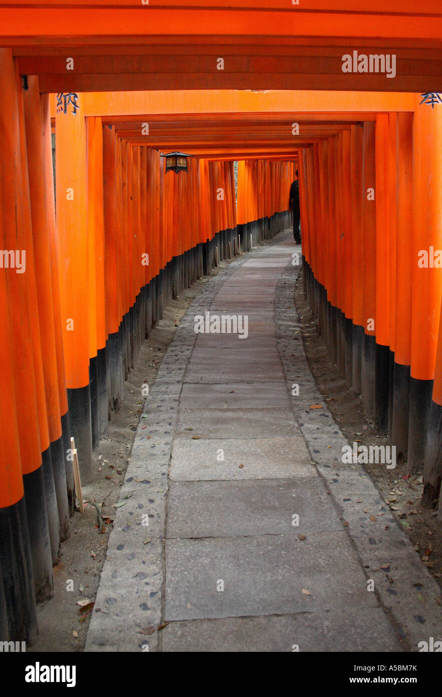 Fushimi inari archways hi-res stock photography and images - Alamy