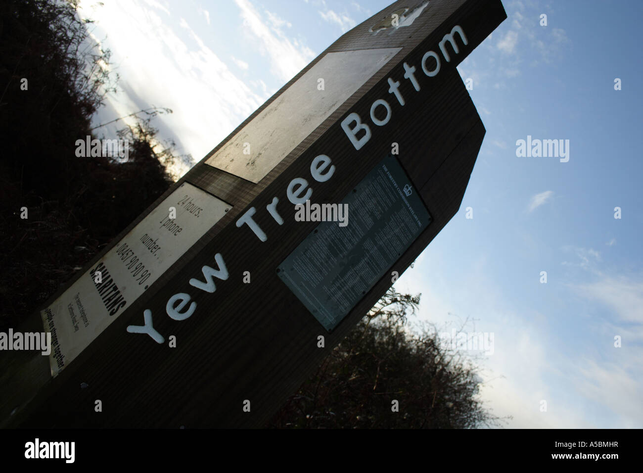 Yew Tree Bottom sign, New Forest Stock Photo - Alamy