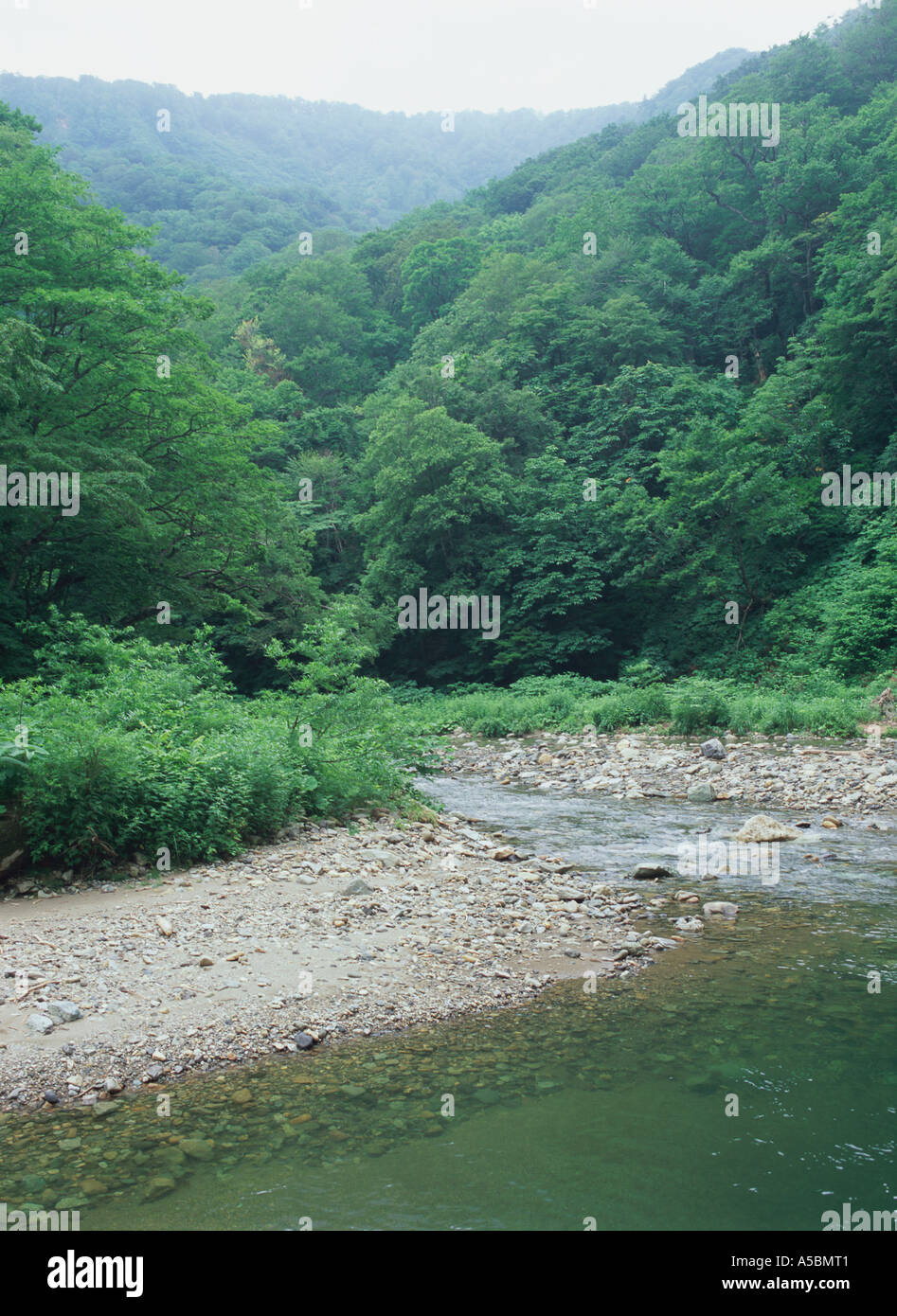 Anmon River Shirakami Sanchi Japan Stock Photo - Alamy