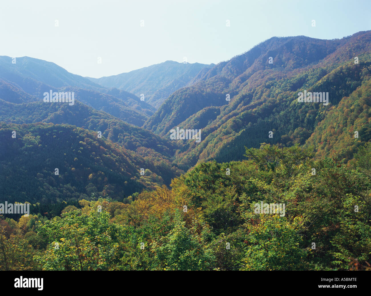 Shirakami mountain hi-res stock photography and images - Alamy