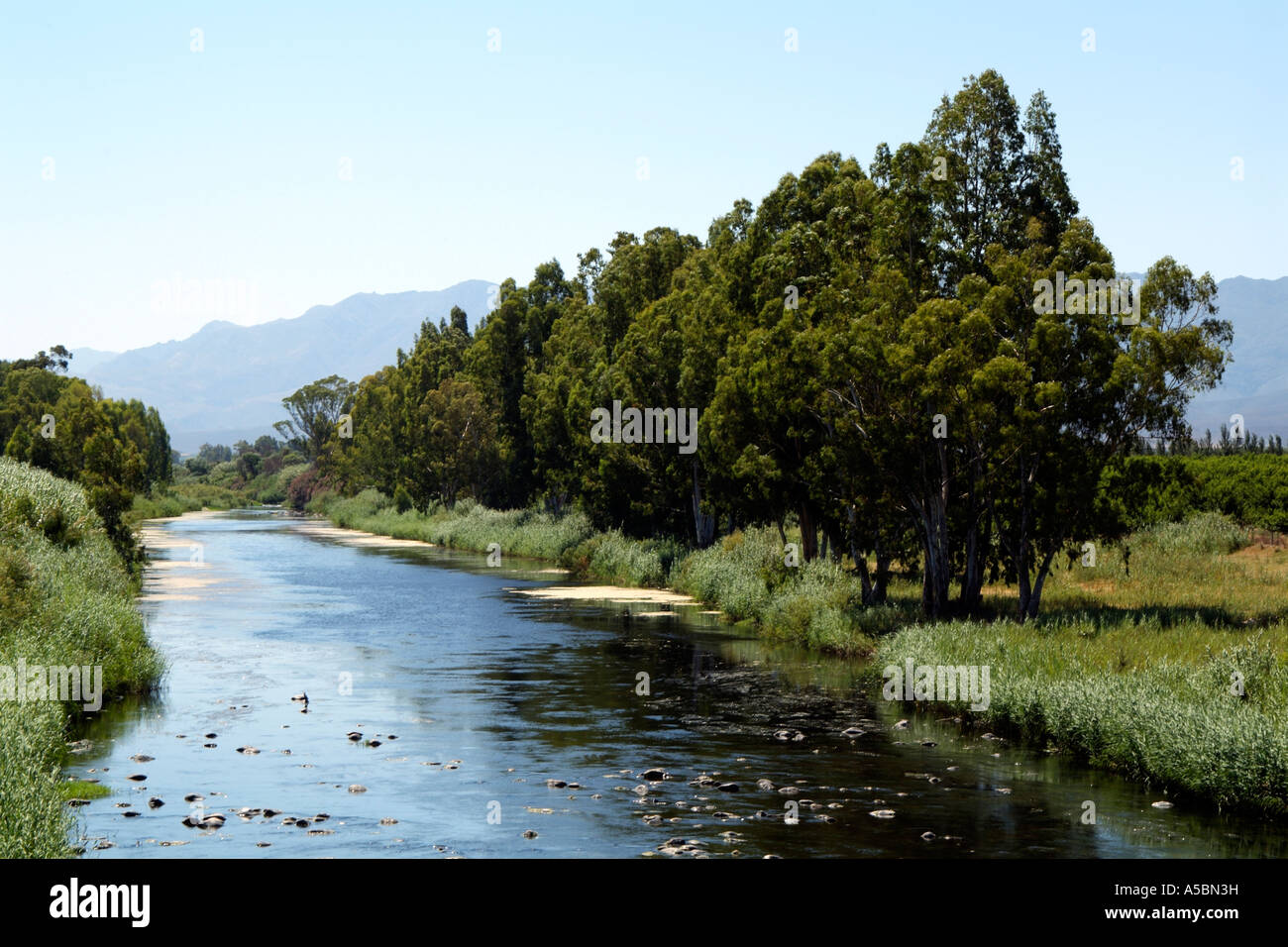 Rivers in the western cape hi-res stock photography and images - Alamy