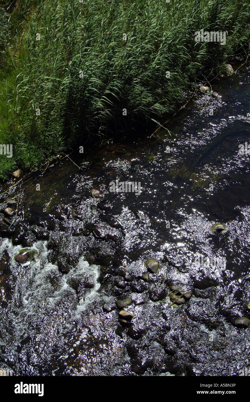 Breede River in the Robertson region Western Cape South Africa Stock ...