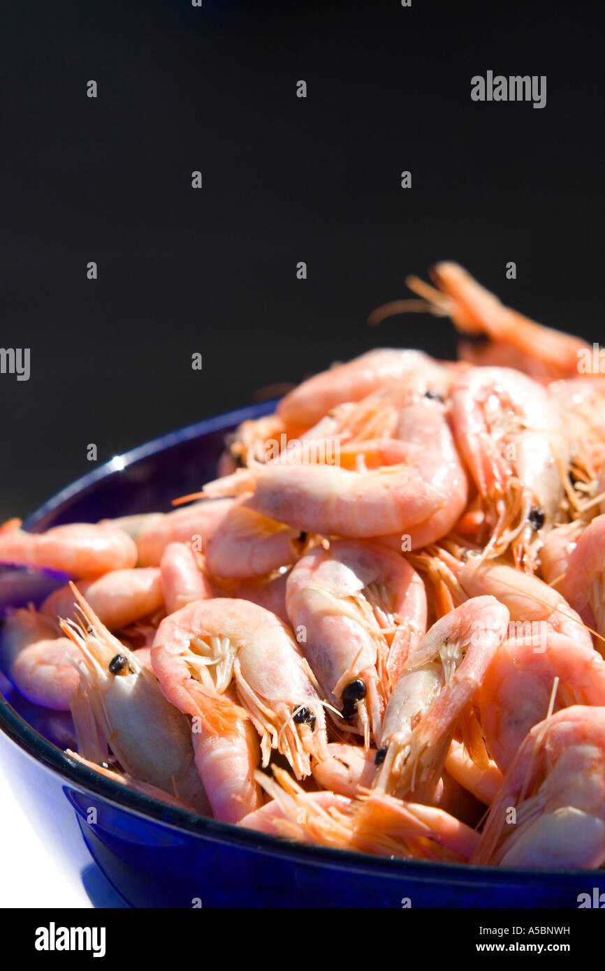 A bowl of shell on shrimps prawns cooked and ready to eat Stock Photo ...