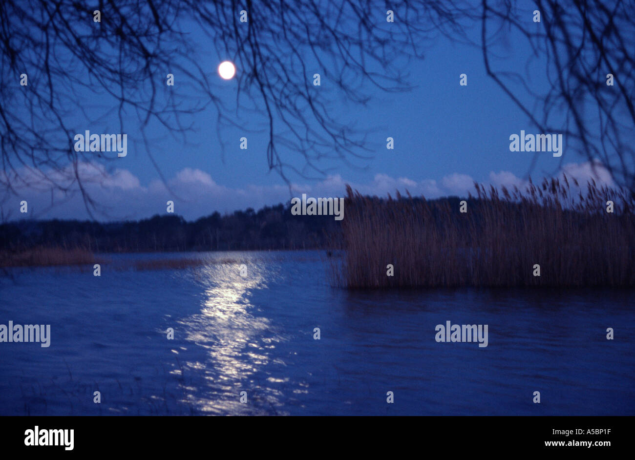 full moon rising over a lake Stock Photo - Alamy