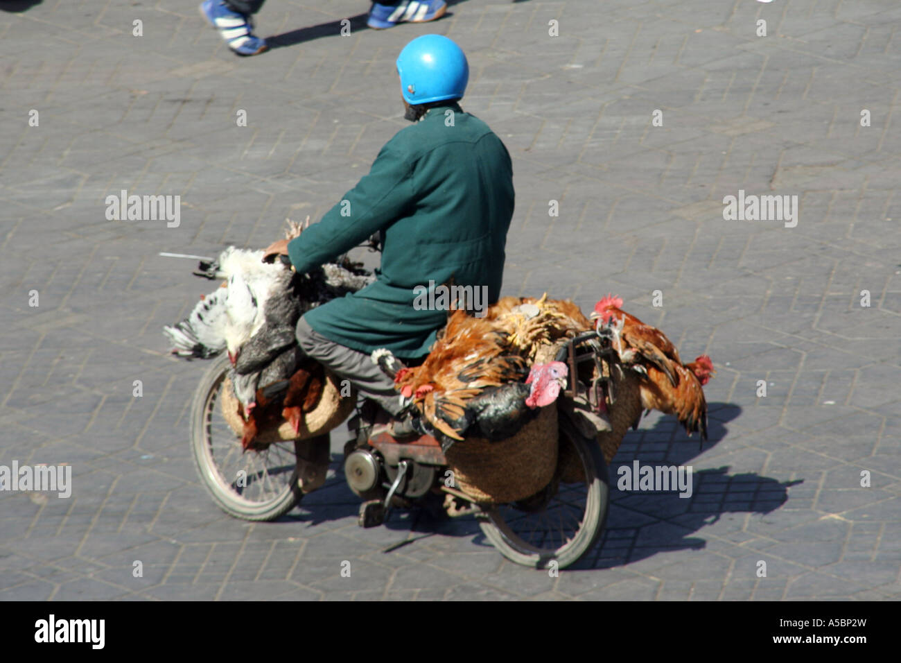 Mad Moroccan driving in Marakech Stock Photo - Alamy