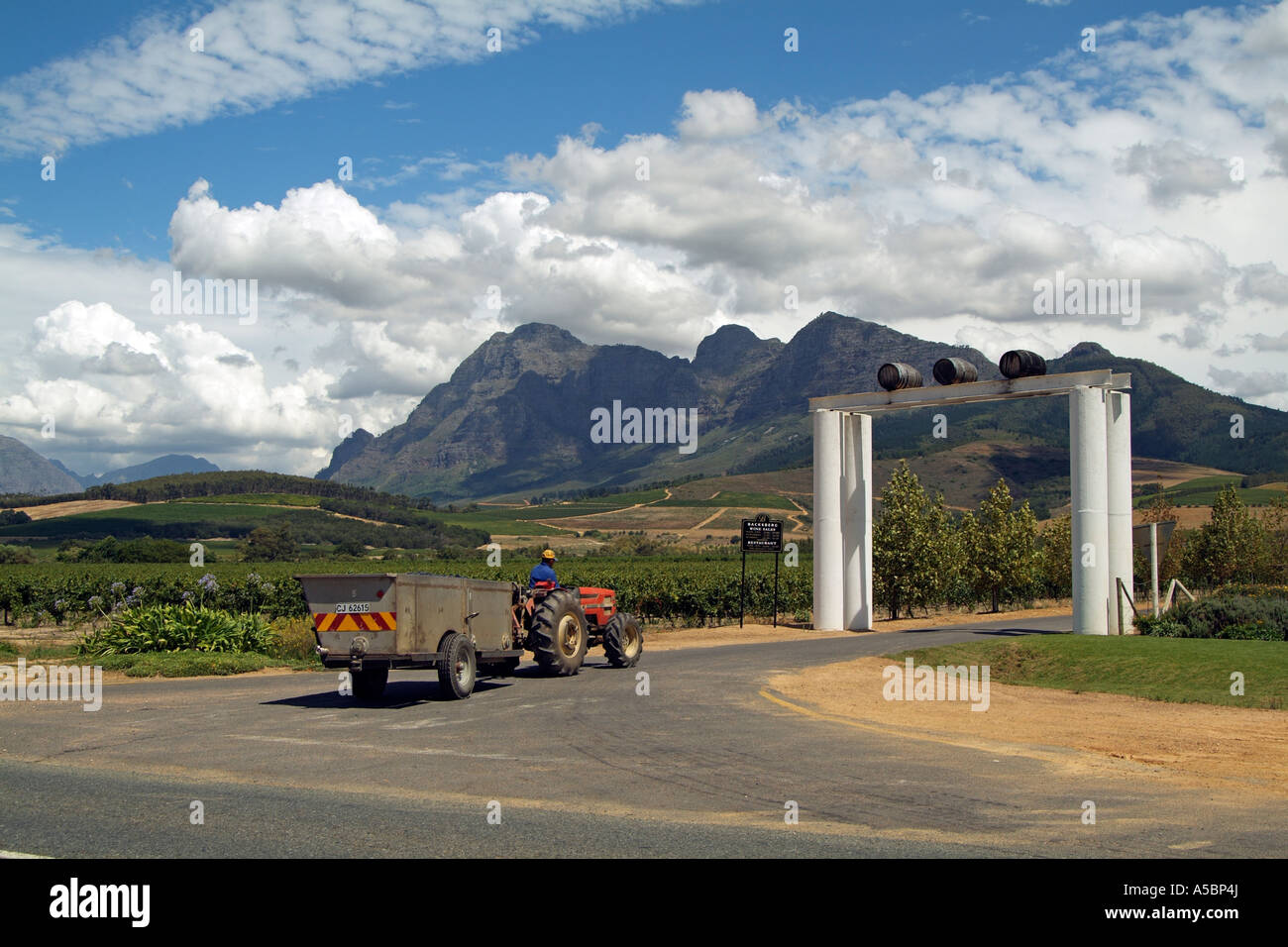 Backsberg wine estate hi-res stock photography and images - Alamy