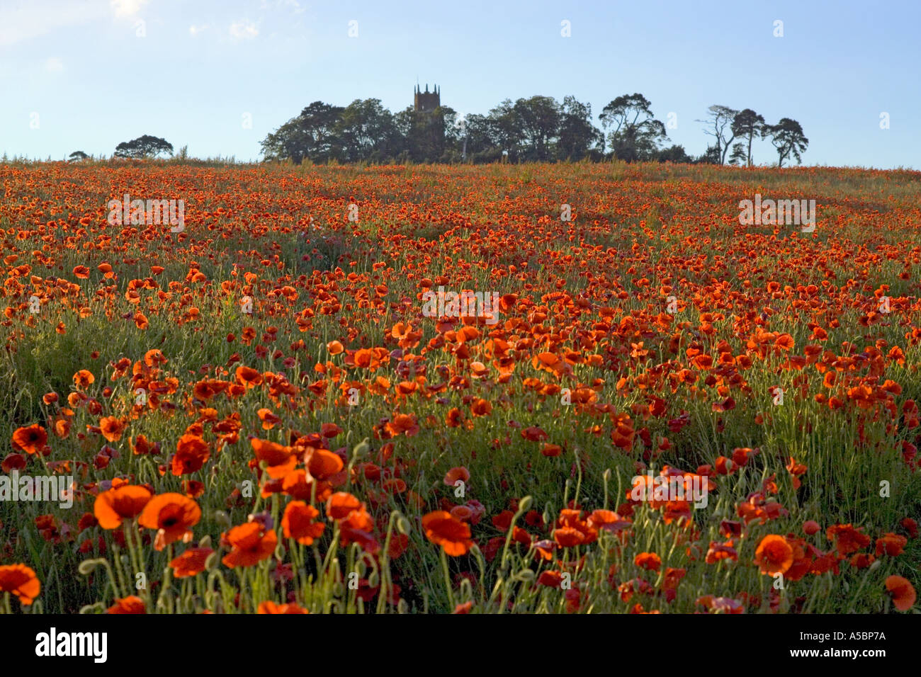 Faringdon folly hi-res stock photography and images - Alamy